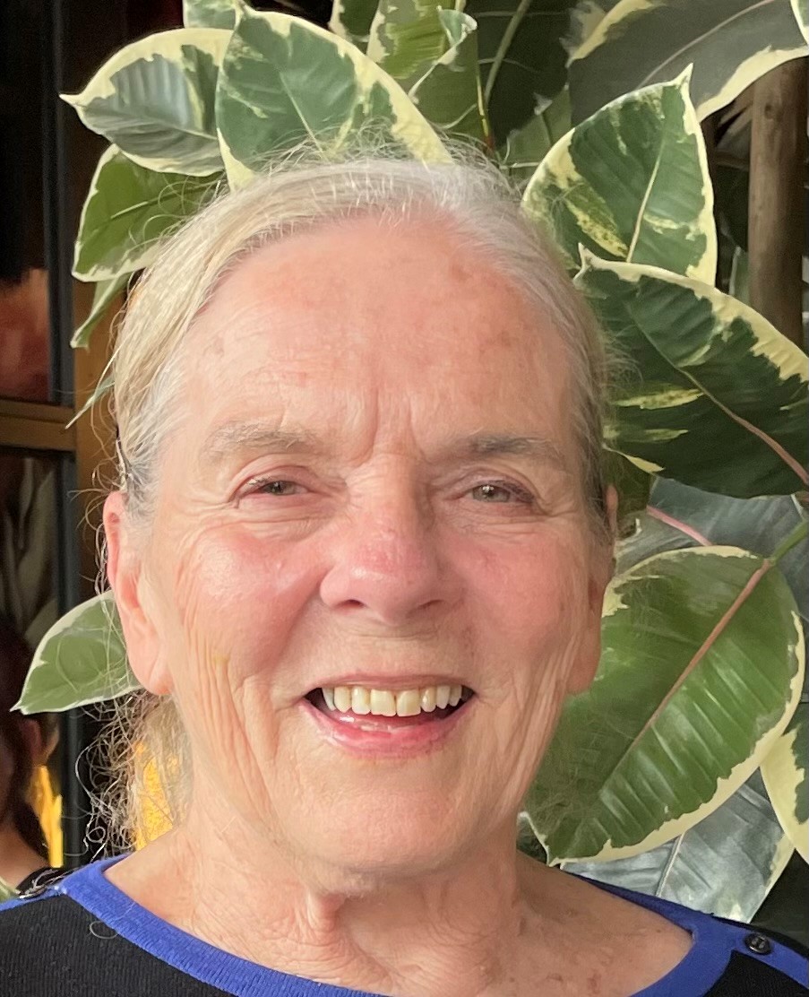 AEMO | ISP Consumer Panel