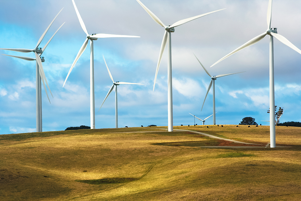 AEMO | Electricity market participants